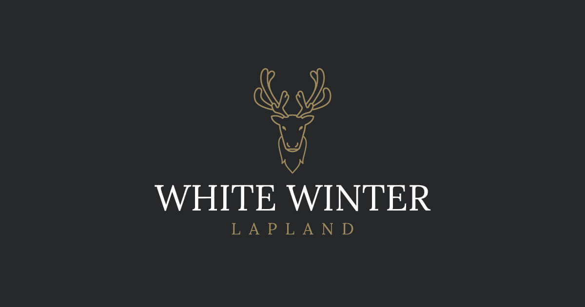 Our Tours and Activities | White Winter Lapland